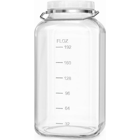 2 Gallon Glass Container