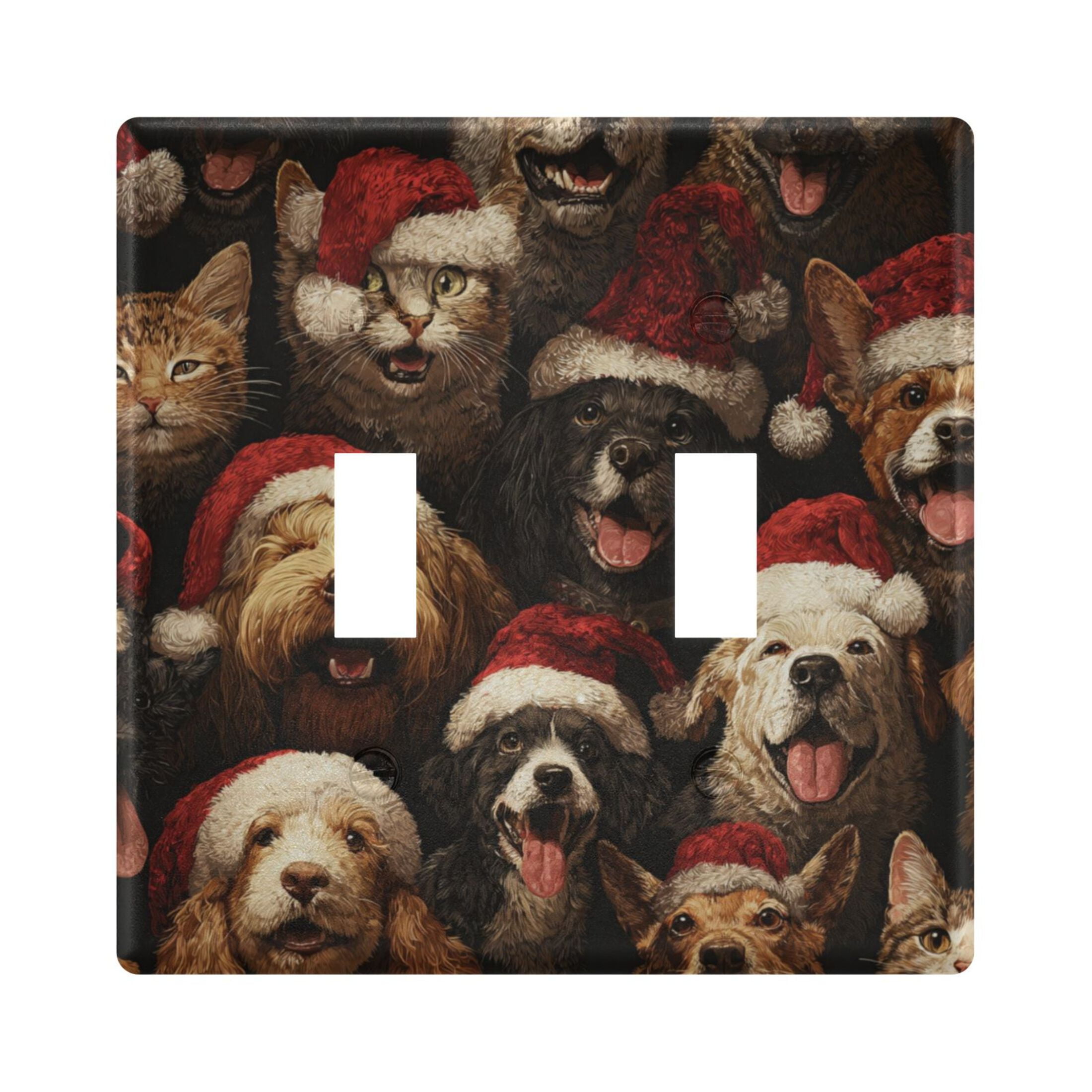 2-Gang Light Switch Wall Plate Outlet Cover for home electrical outlets ...