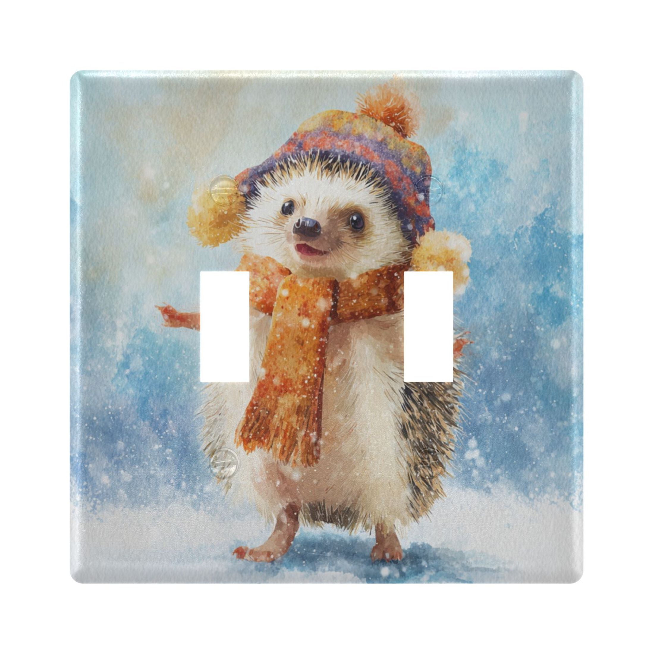 2-Gang Light Switch Wall Plate Outlet Cover for home electrical outlets ...