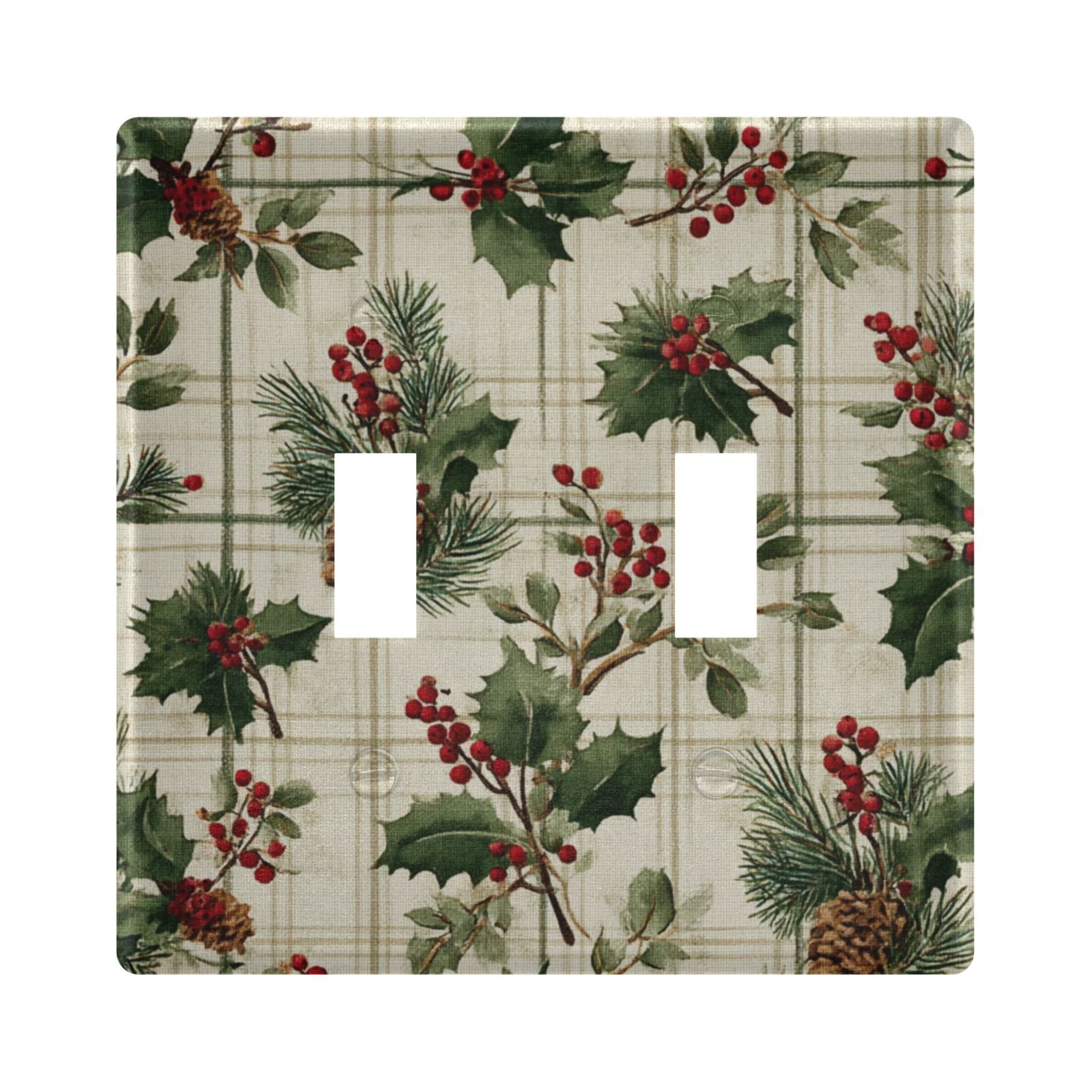 2-Gang Light Switch Wall Plate Outlet Cover for home electrical outlets ...