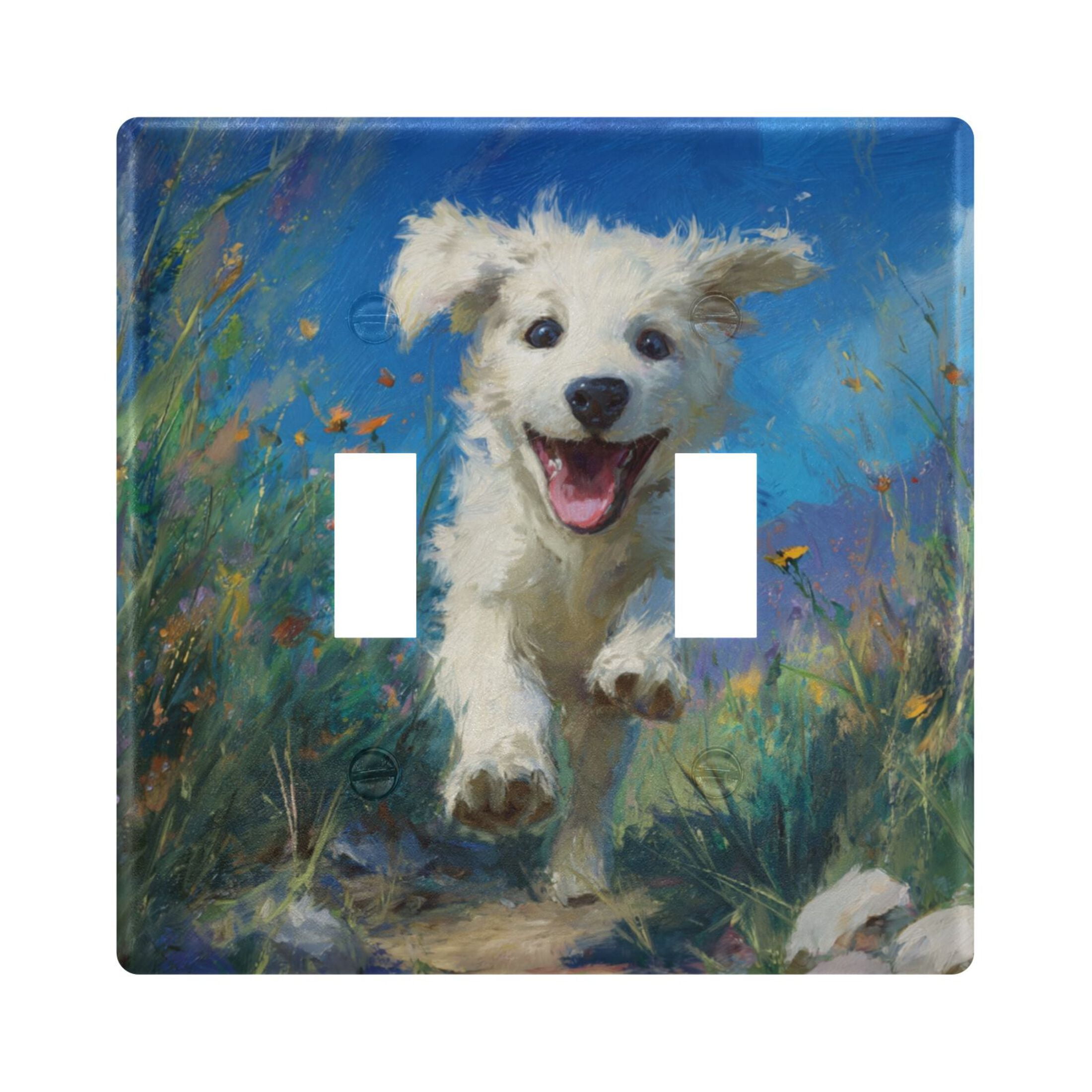 2-Gang Light Switch Wall Plate Outlet Cover for home electrical outlets ...