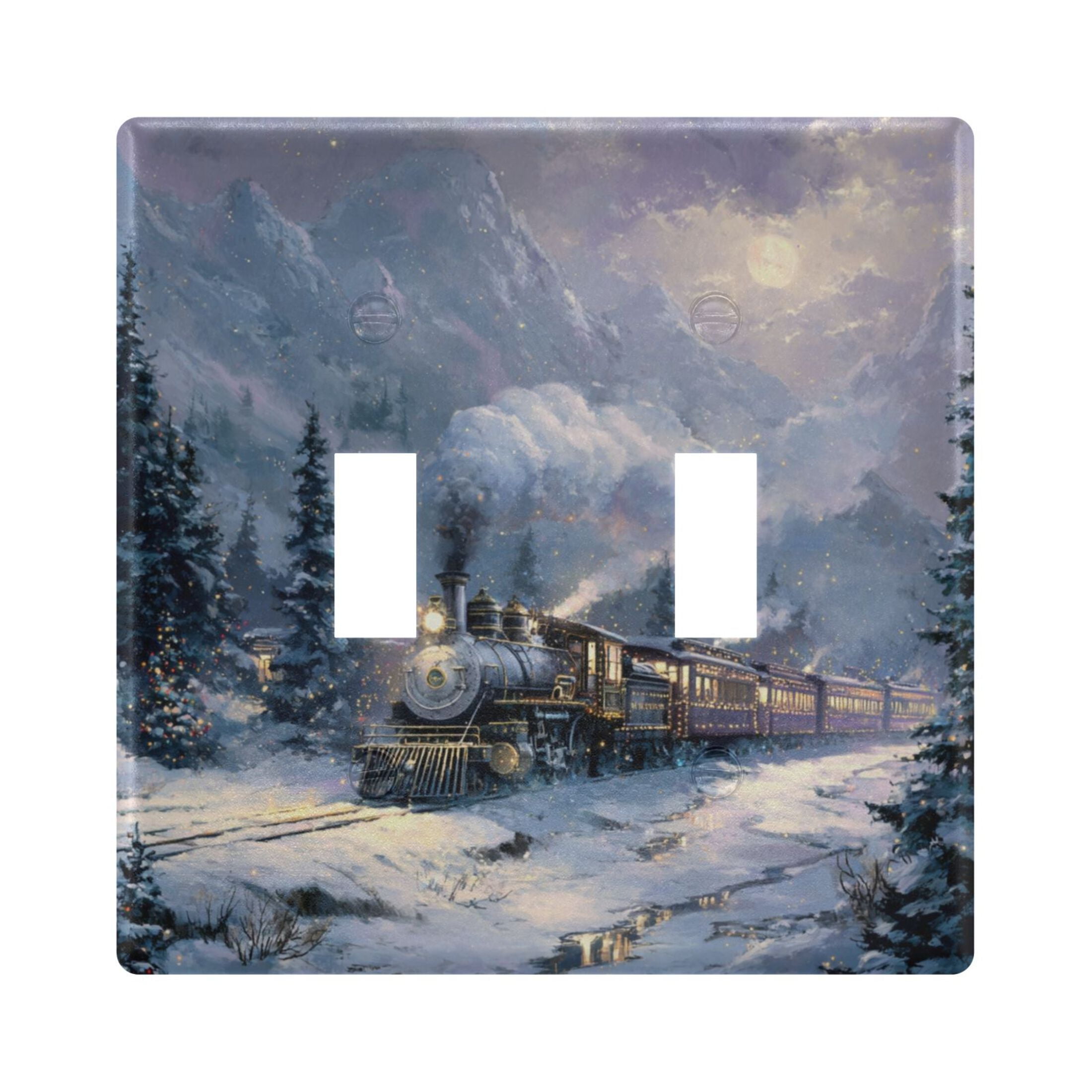 2-Gang Light Switch Wall Plate Outlet Cover for home electrical outlets ...