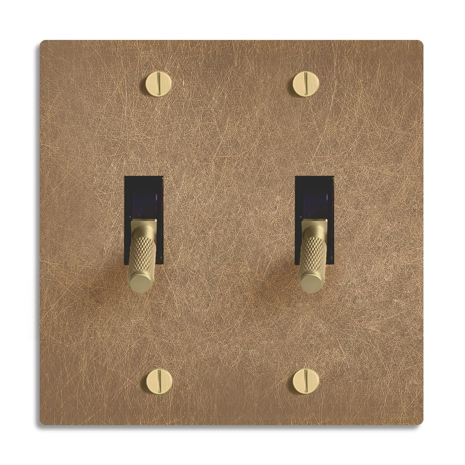 SELECT 2-Gang Solid Brass Toggle Switch, Vintage Brass Finish, 15A 120V ...