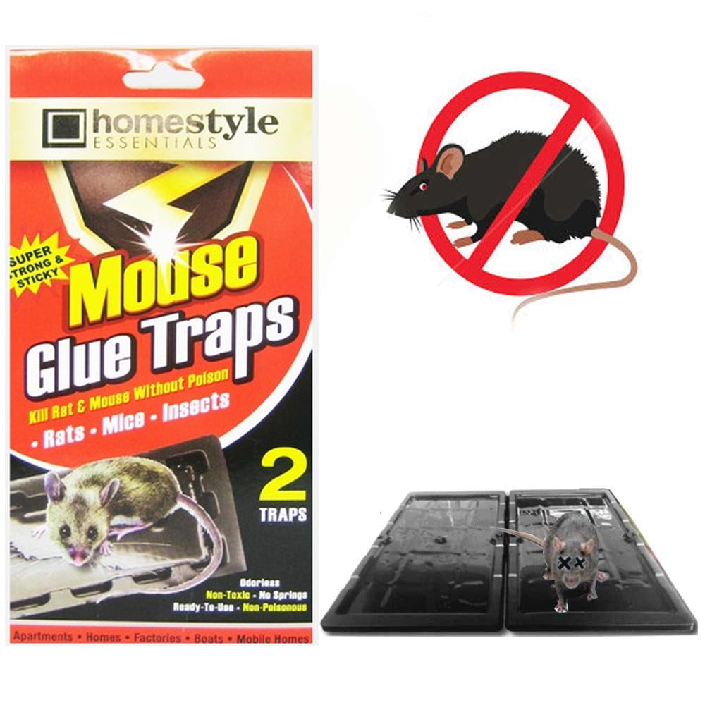 2 Glue Sticky Traps Rat Mice Snake Rodent Peanut Scent Disposable Tray ...