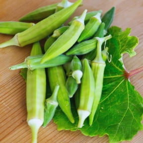 Okra Plants