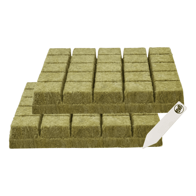 2" Grodan Rockwool A-OK Starter Plugs, 2 Sheets of 25 (50 Plugs Total ...