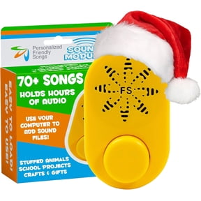 Voice Box