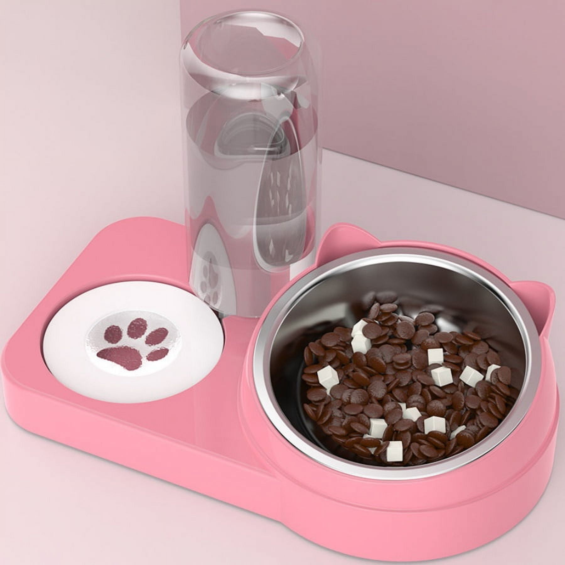 2 In 1 Cat Double Bowls, Elevated Stainless Steel Cat Inclined Food ...