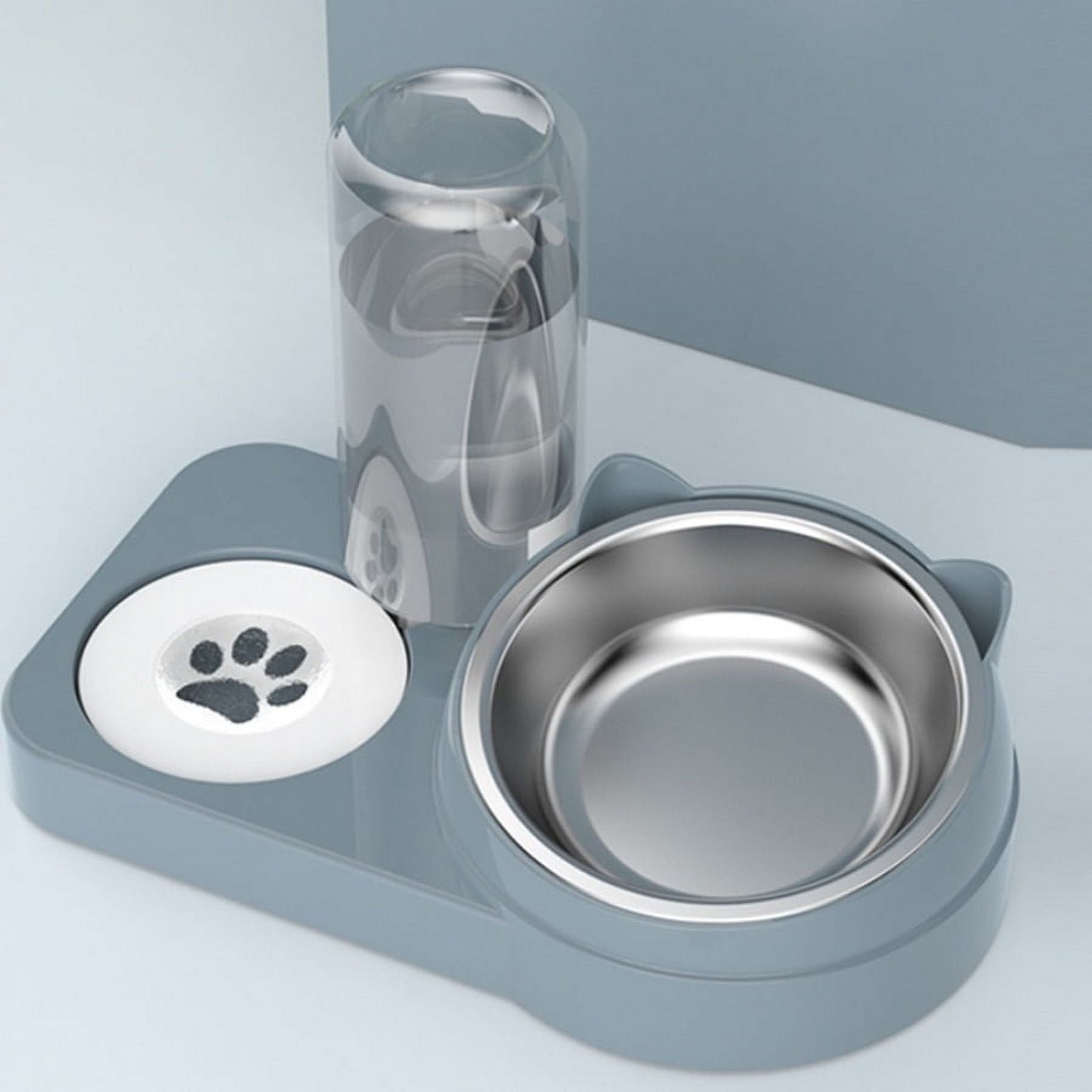 2 In 1 Cat Double Bowls, Elevated Stainless Steel Cat Inclined Food ...