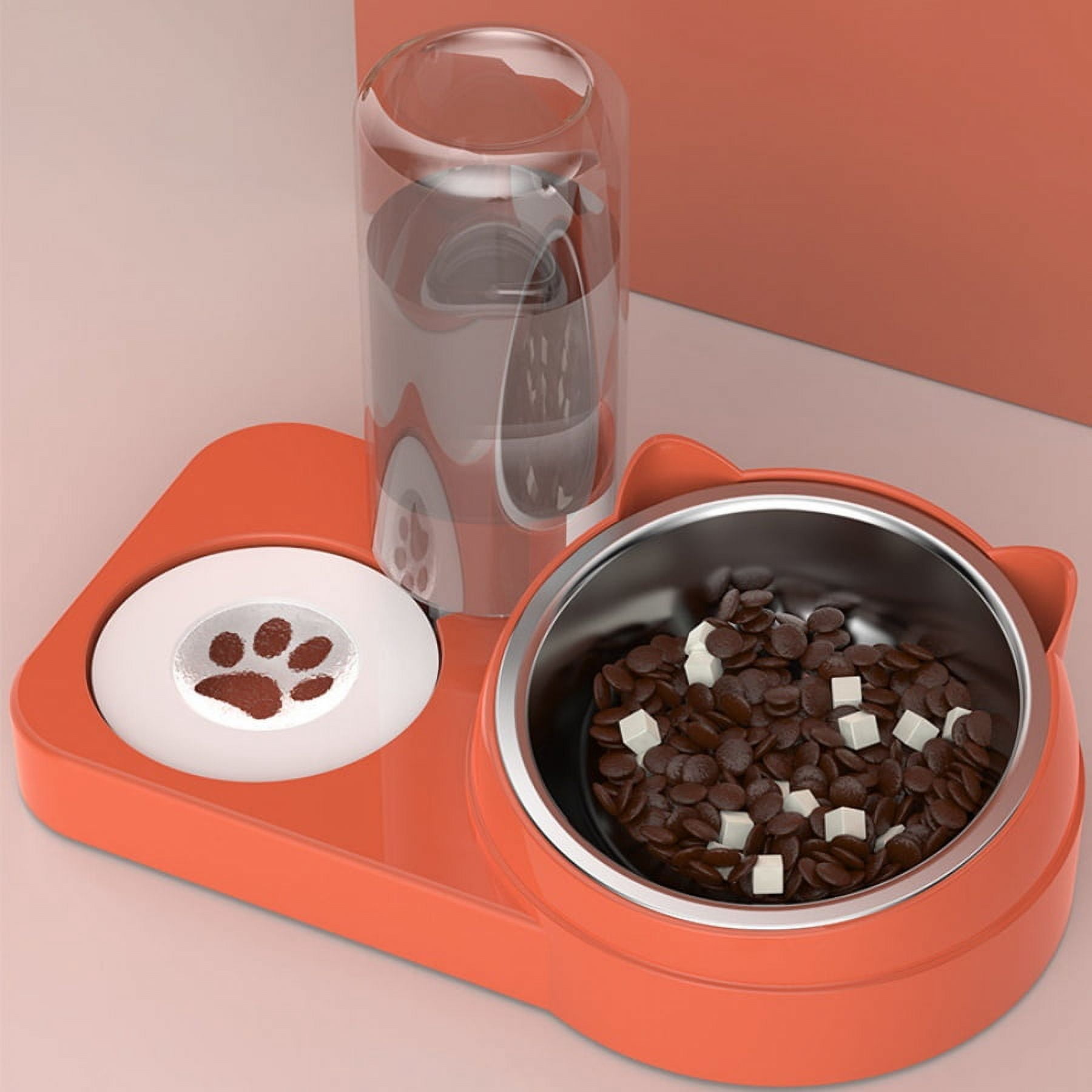 2 In 1 Cat Double Bowls, Elevated Stainless Steel Cat Inclined Food ...