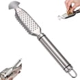 2-In-1 Stainless Steel Fish Scaler, Ginger Grater, Easy Descaling and ...