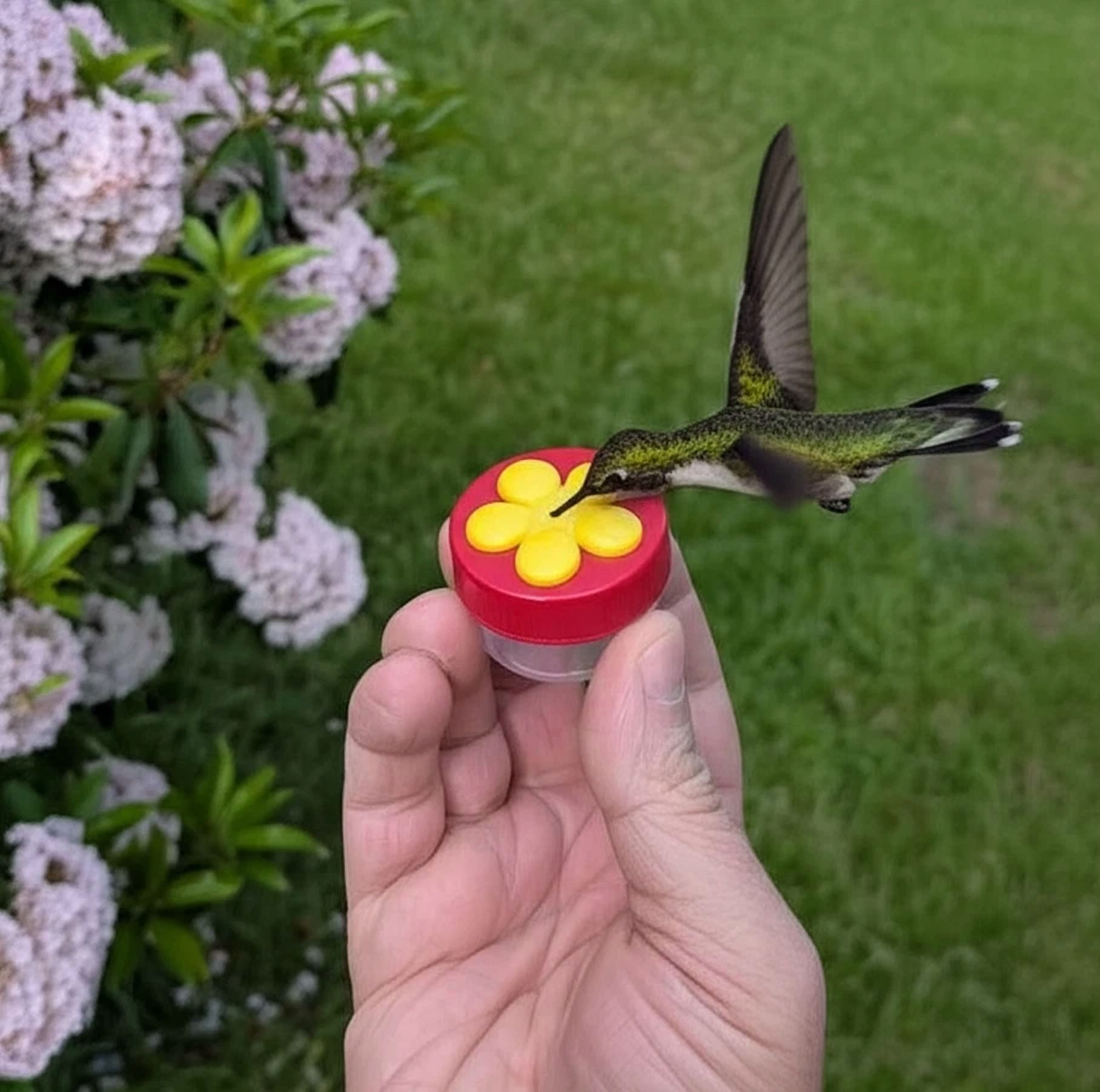 2-In-1 Window Mount And Handheld Hummingbird Feeder Set - Walmart.com