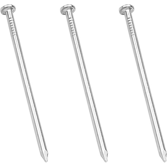 2 Inch Hardware Nails, 100pcs Stainless Steel 304 Hanging Nails for ...