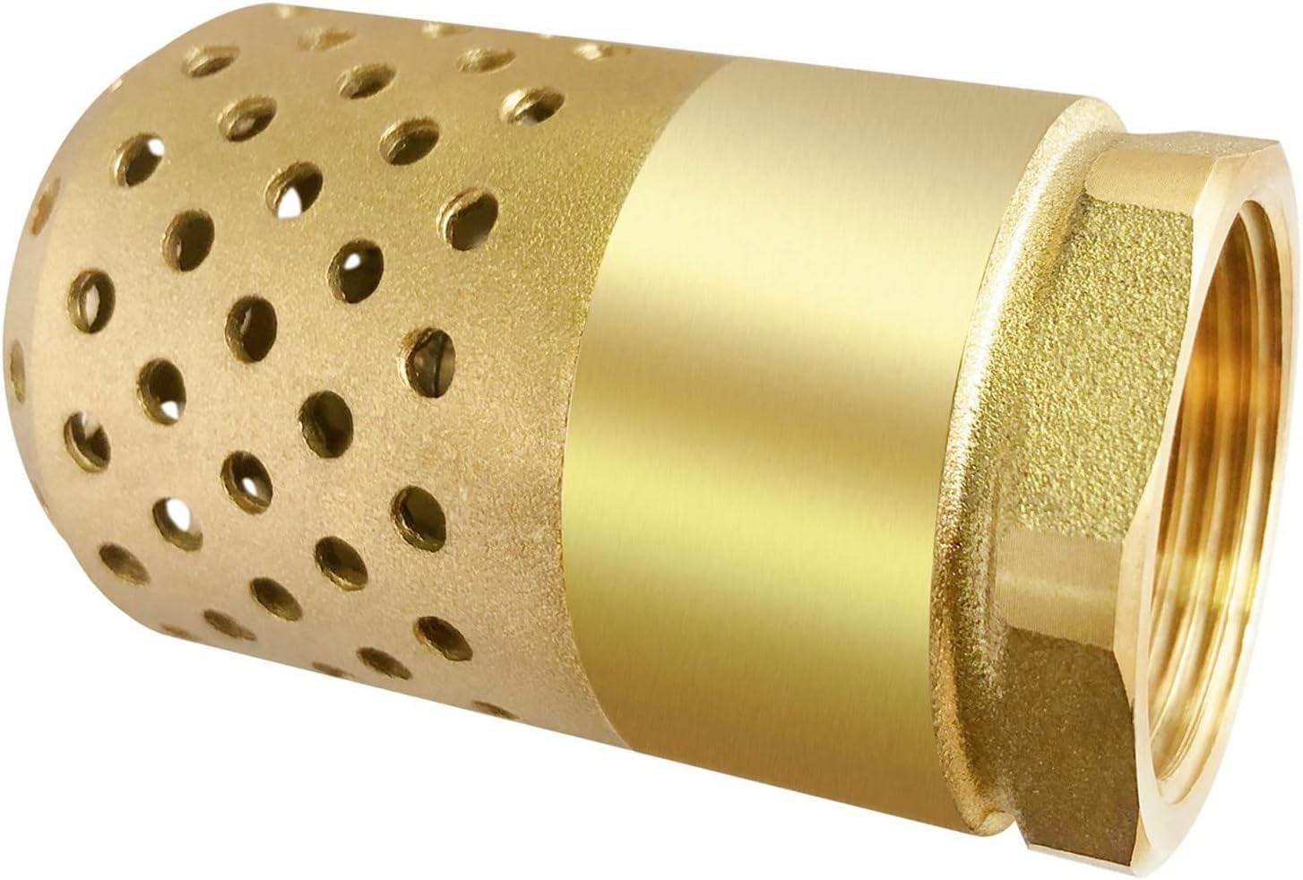 2 Inch NPT Brass Foot Valve with Holes, Spring Mesh Check Valve, Female ...