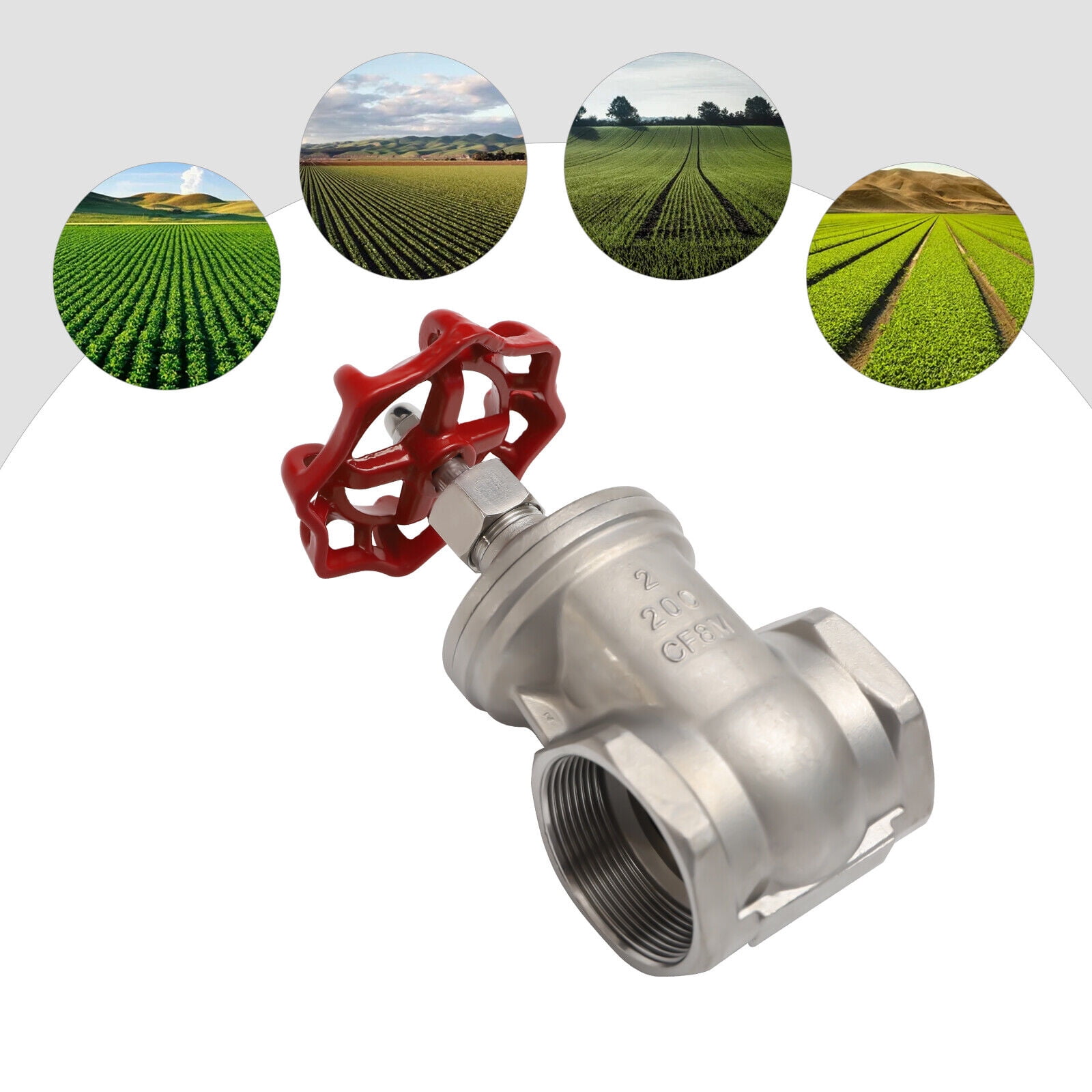 2 Inch Npt Female Threaded Gate Valve Cf8m Heavy Duty Stainless Steel ...