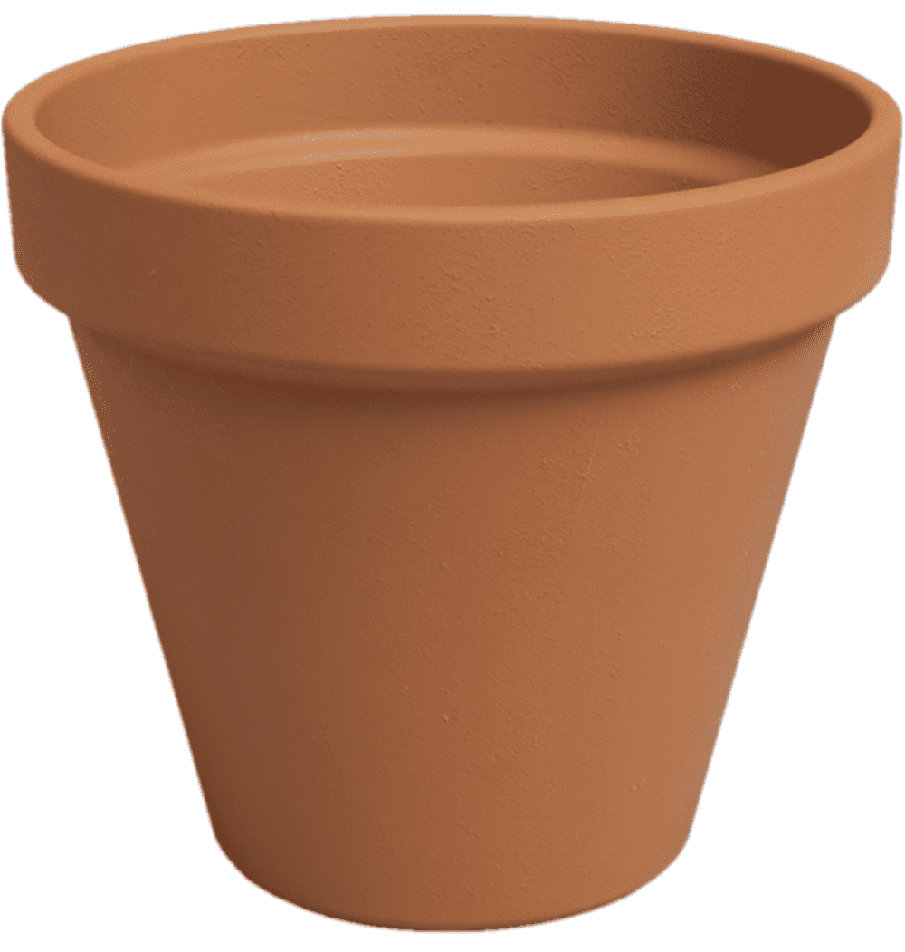 Artevasi 2 inch Round Terracotta Clay Flower Pot With Drainage Hole for ...