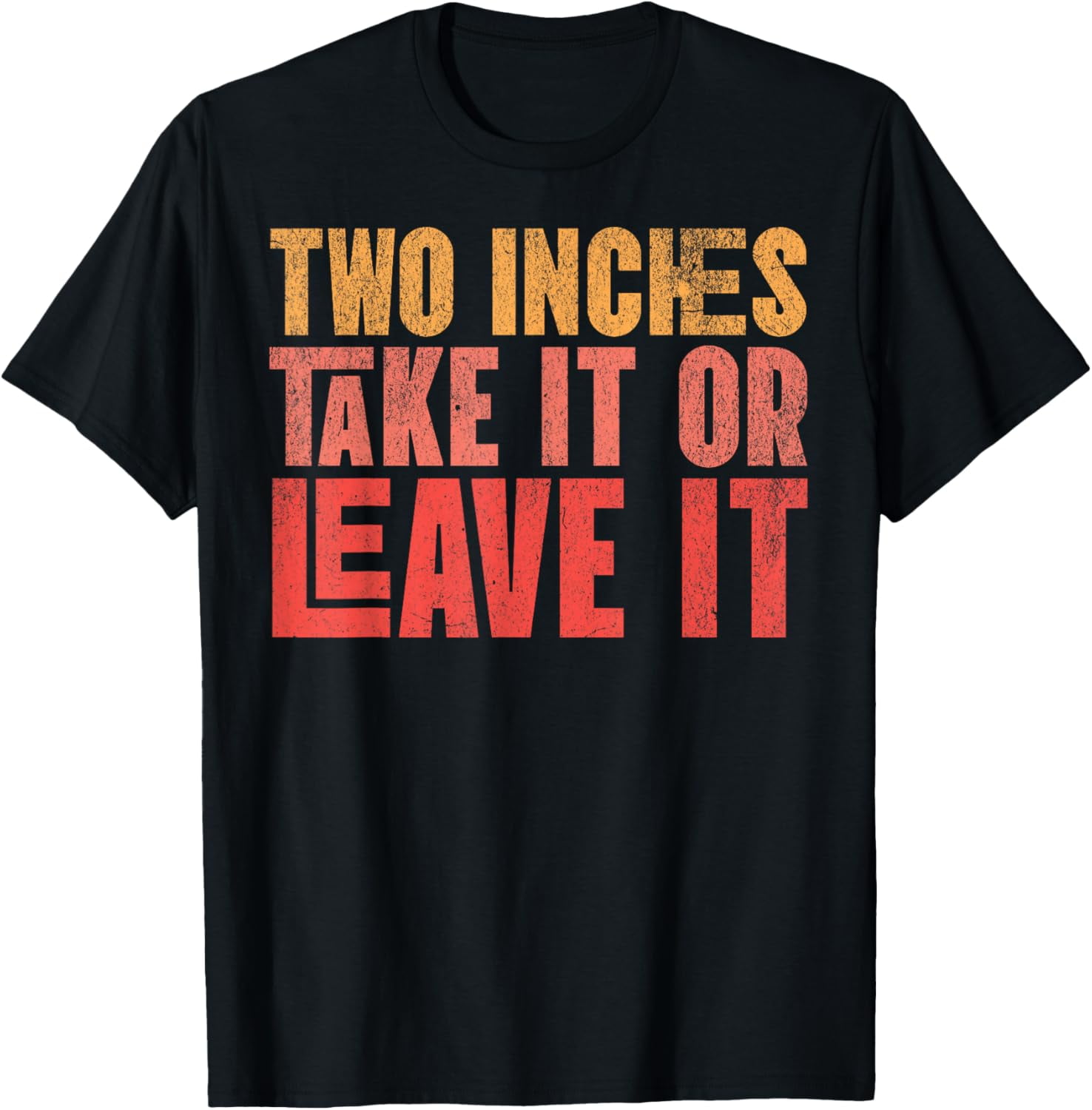 2 Inches Take It Or Leave It Retro Sunset Humor T-Shirt - Walmart.com