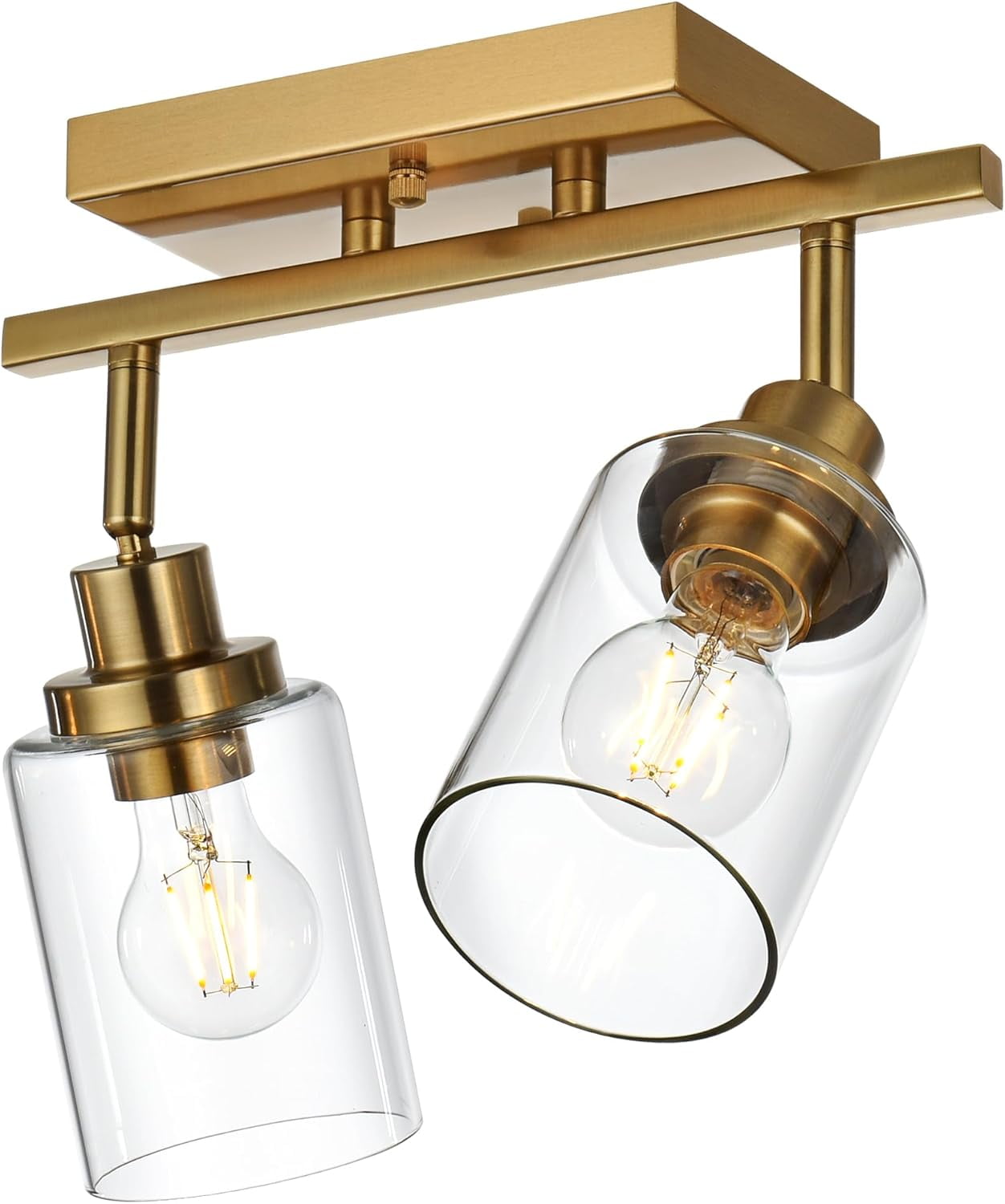 2-Light Adjustable Track Lighting Kit with Clear Glass Shade for ...