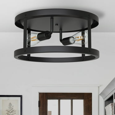 Briignite 2-Light Matte Black Industrial Style Celling Light, Indoor ...