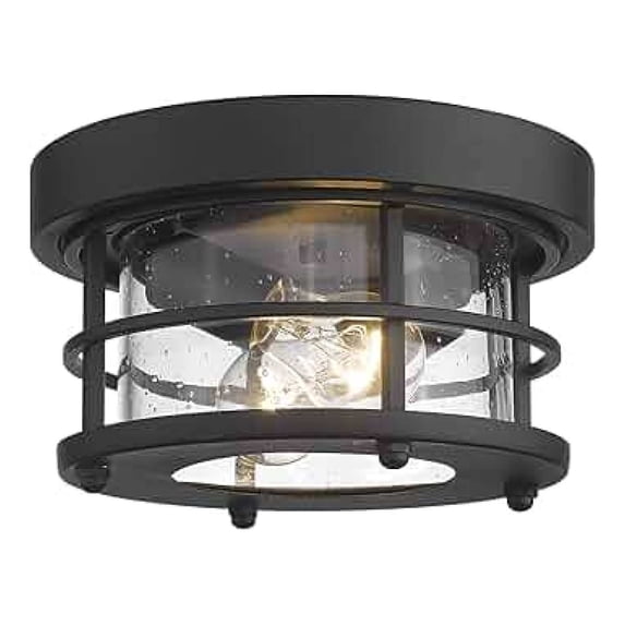 2-Light Ceiling Light Fixture, 10 Inch Round Farmhouse Flush Mount ...