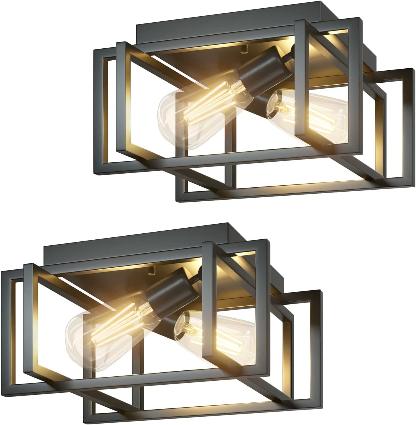 2-Light Flush Mount Ceiling Light Fixture, Industrial Black Metal ...