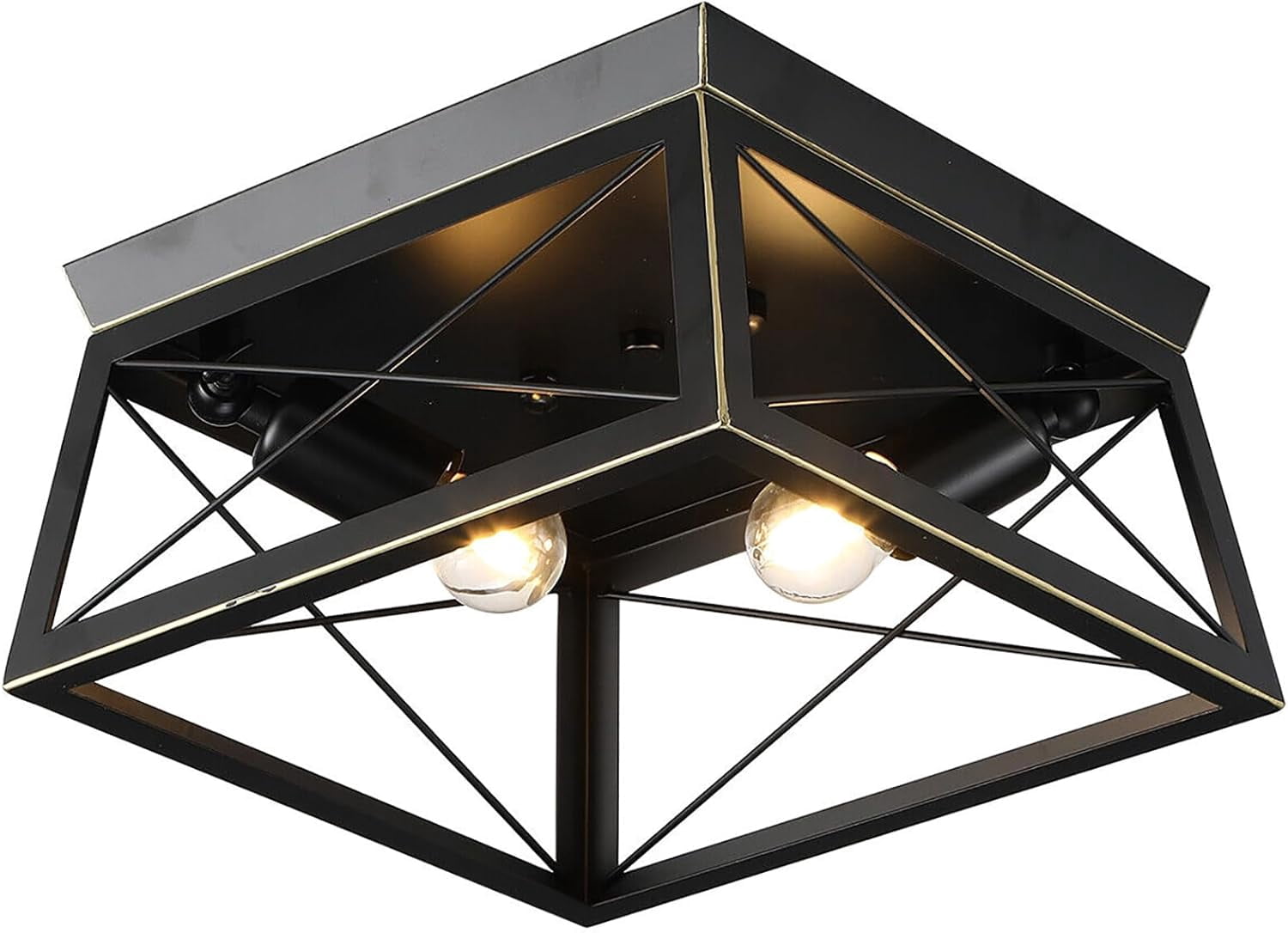 2-Light Industrial Close to Ceiling Light Black Metal Ceiling Lamp Semi ...