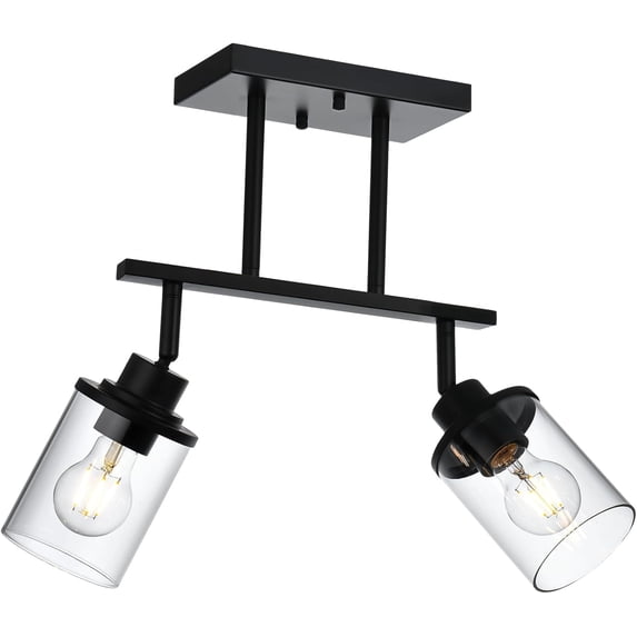 2-Light Kitchen Track Light Fixtures Ceiling Vanity Lights Black ...