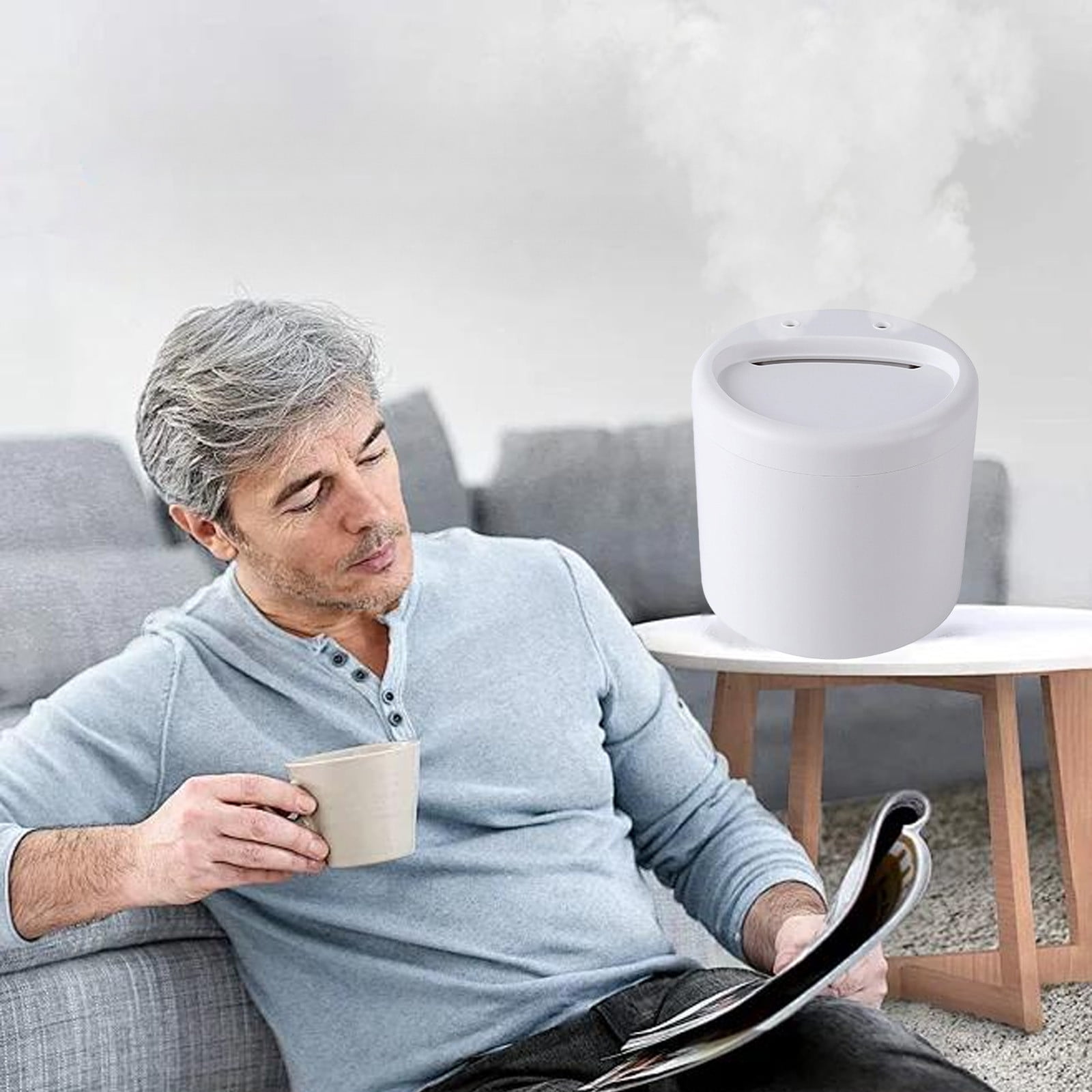 2 Liter Large Capacity Dual Nozzle Humidifier USB Humidifier Desktop ...