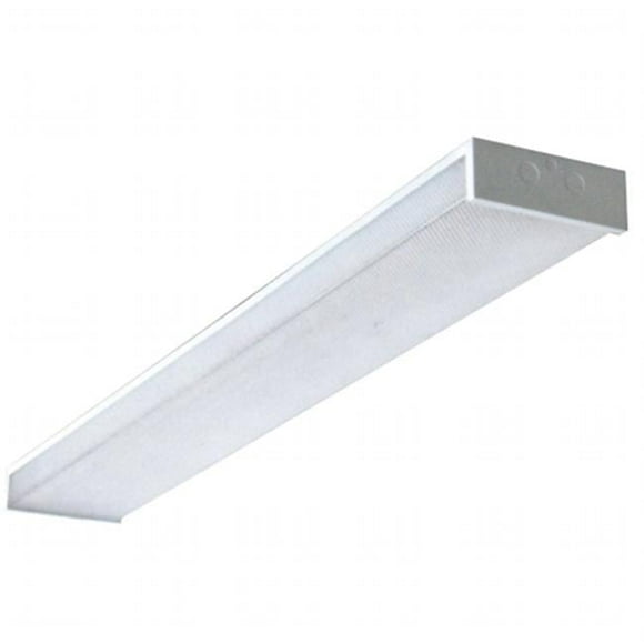 Fluorescent Shop Lights