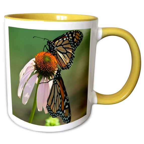 3drose, 2 Monarch Butterflies on Pink Flower, 15oz Two-tone Yellow Mug ...
