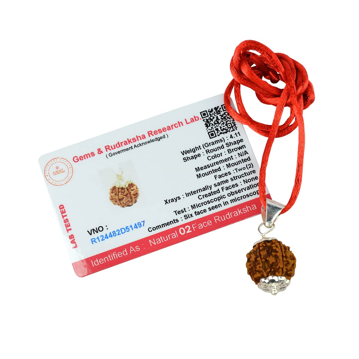 2 Mukhi Rudraksha/Two Faced Rudraksha Pendant Original Rudraksha Locket ...