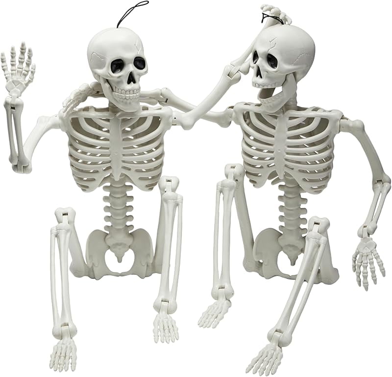 2 PCS 24” Halloween Skeleton Decor, 2 FT Full Body Stayable Posable ...