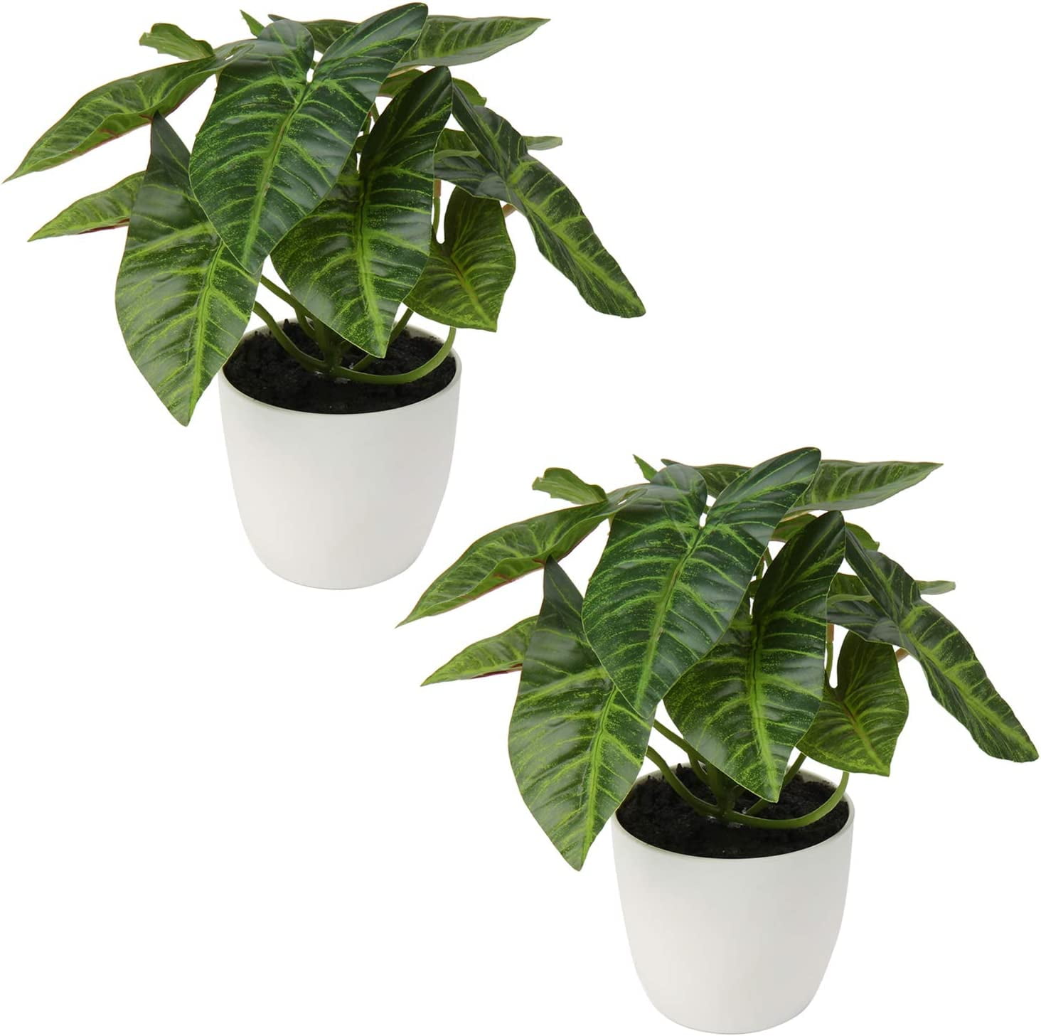 2 PCS Artificial Potted Alocasia Begonia Calathea Plants Mini Fake ...