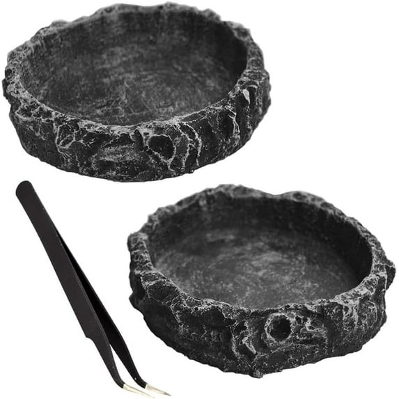 2-PCS Reptile Feeder Dish Set with Feeding Tweezers – Realistic Tree ...