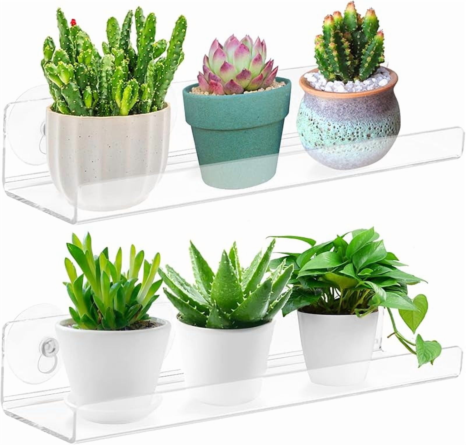2-Pack 12 Inch Window Plant Shelves - Acrylic Suction Cup Sill Extender ...