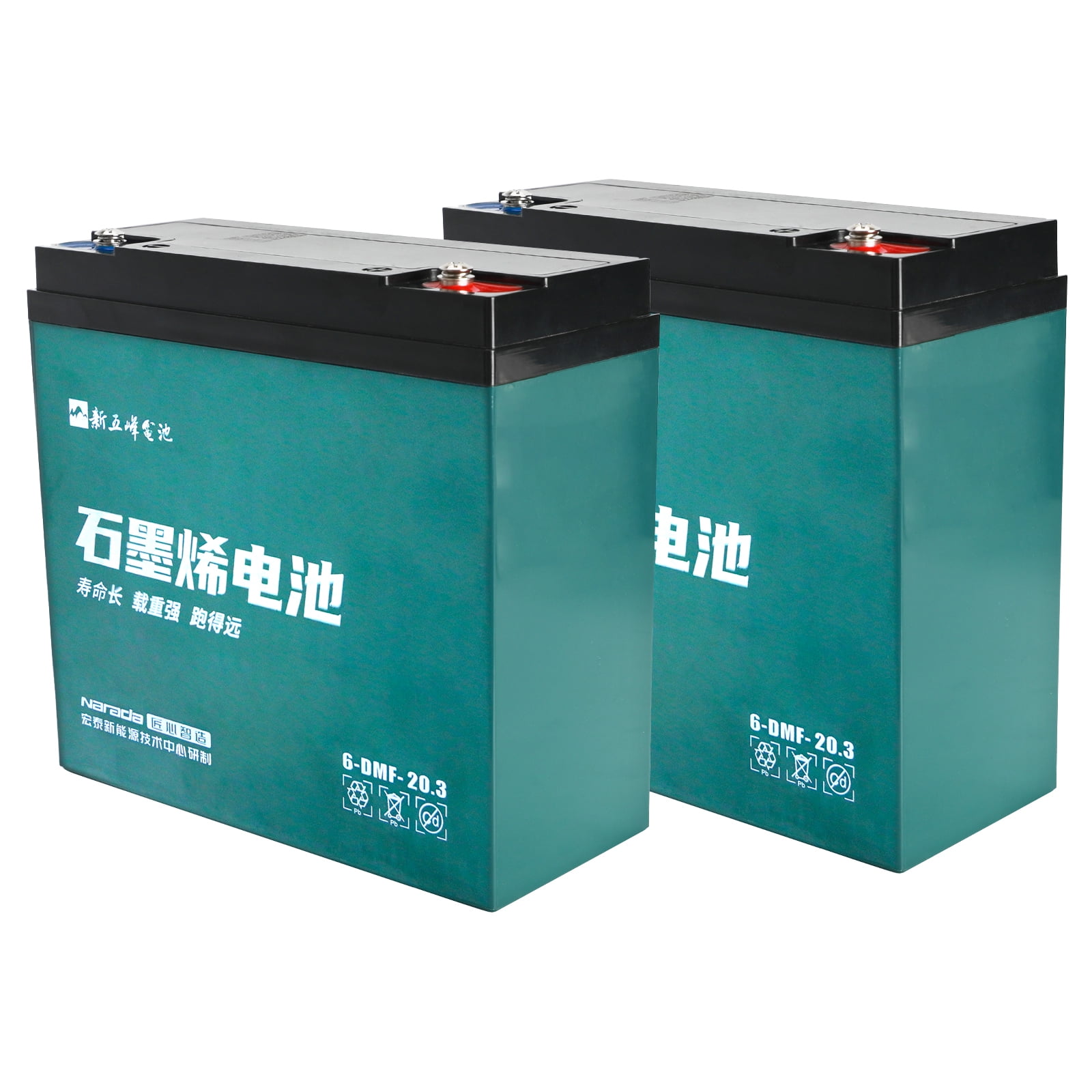 2 Pack 12V 20Ah Battery 6-DMF-20 Sealed Lead Acid Battery 6-DZM-20 for ...
