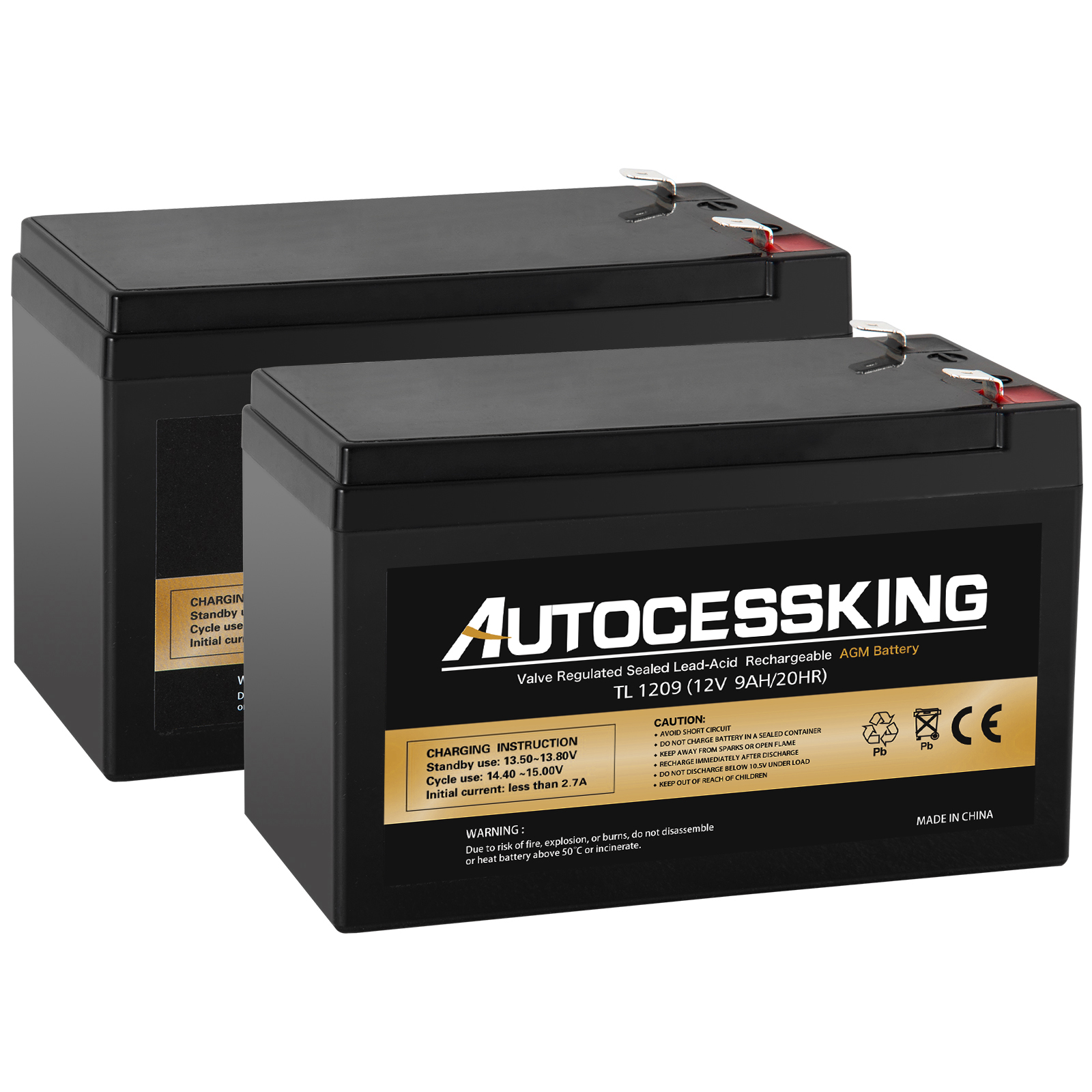 Power Wheels 6-Volt Replacement Battery, Genuine Power Wheels Parts ...