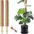 2 Pack 21 Inch Moss Poles, Stackable Moss Pole for Plants Monstera, 37 ...