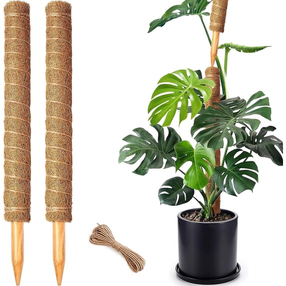 2 Pack 21 Inch Moss Poles, Stackable Moss Pole for Plants Monstera, 37 ...