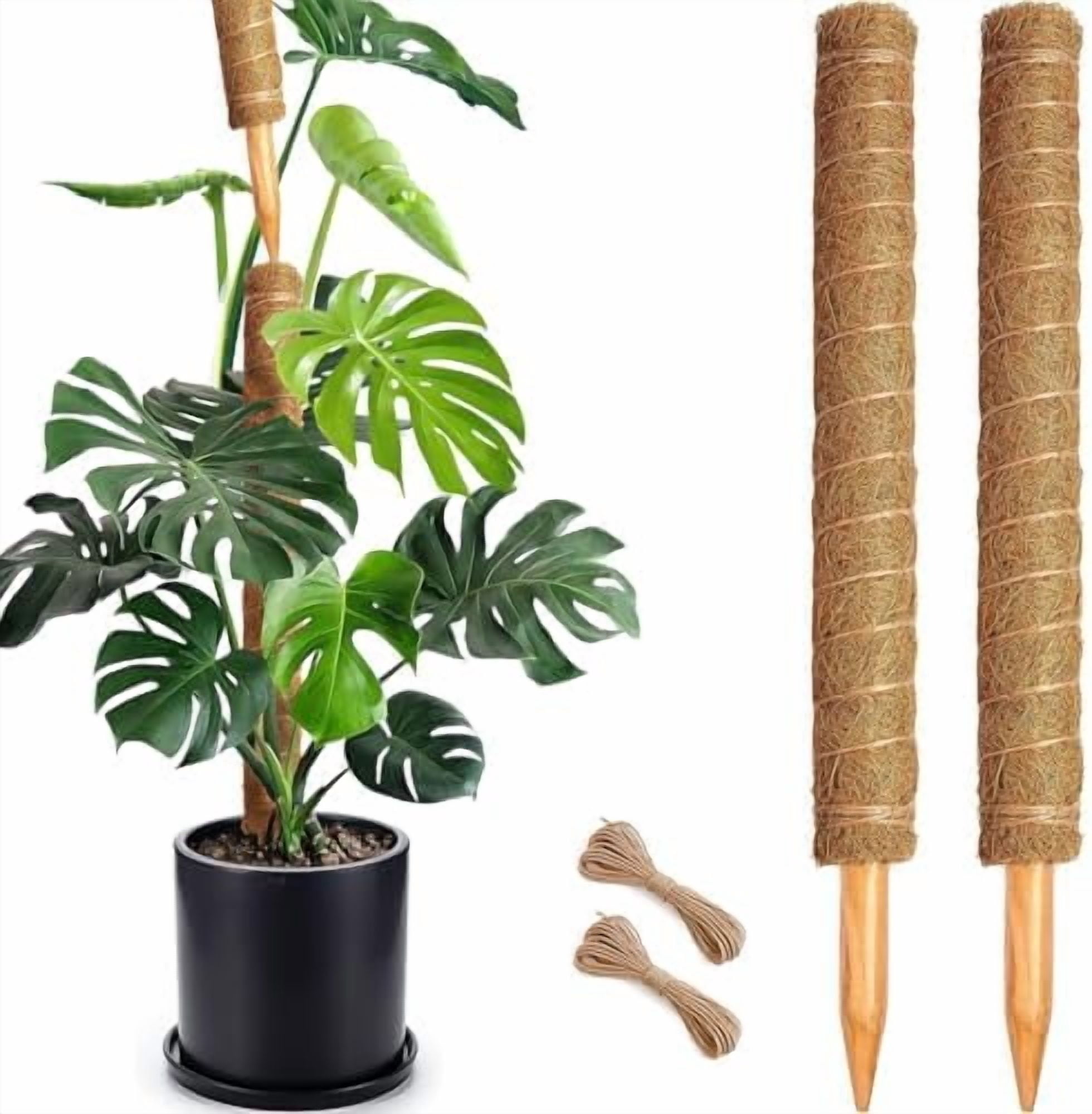 2 Pack 22 Inch Stackable Moss Pole - Thick & Sturdy Natural Coir Totem ...