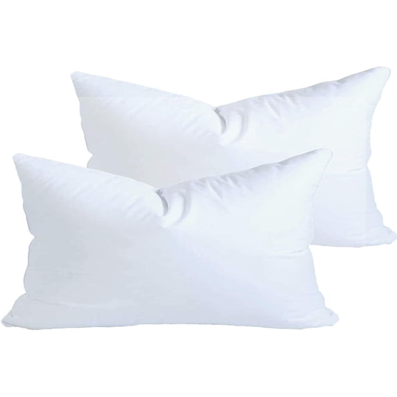 ® 2-Pack 23x23" Square Synthetic Down Alternative Pillow Inserts for ...