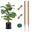 1PC Plant Stem Support, Iron Monstera Plant Support, Plant Stem Holder ...