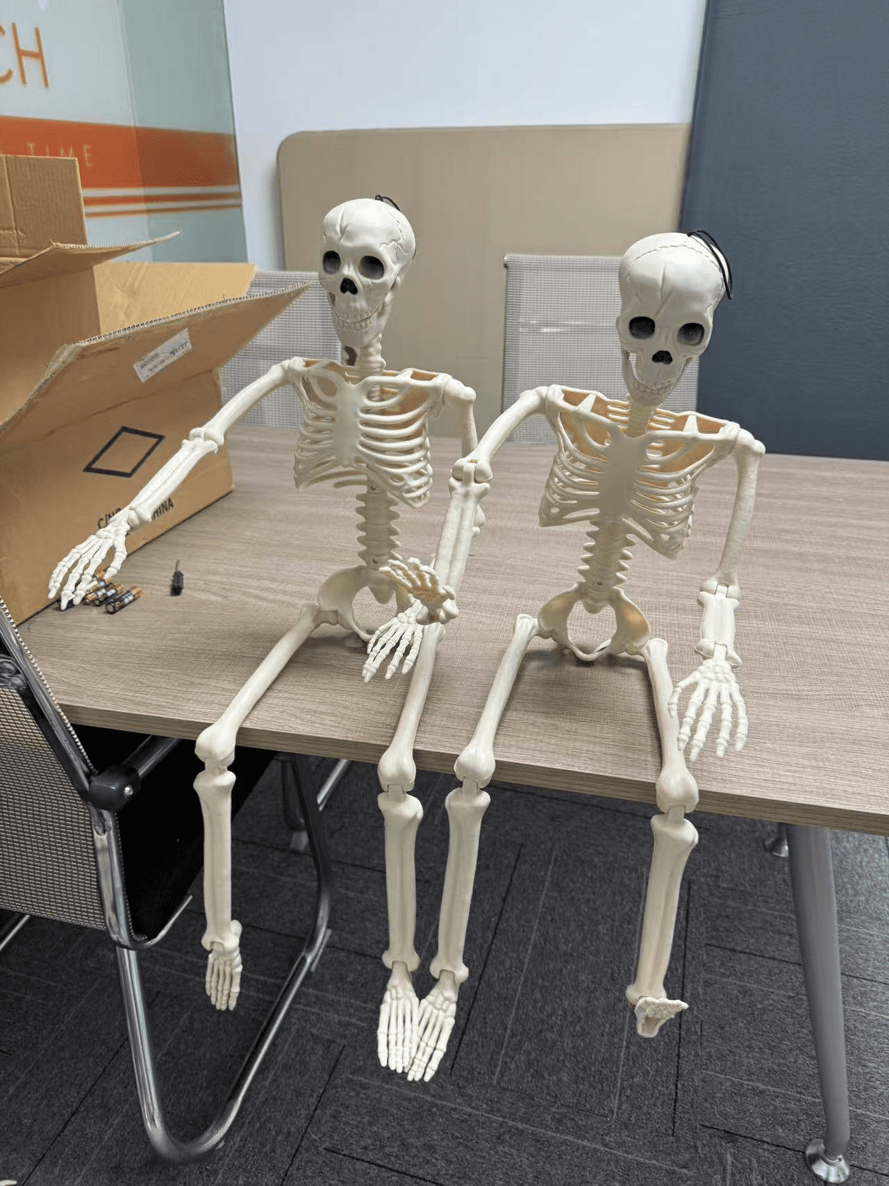 2 Pack 3FT Halloween Skeletons – Life-Size Poseable Human Skeletons ...
