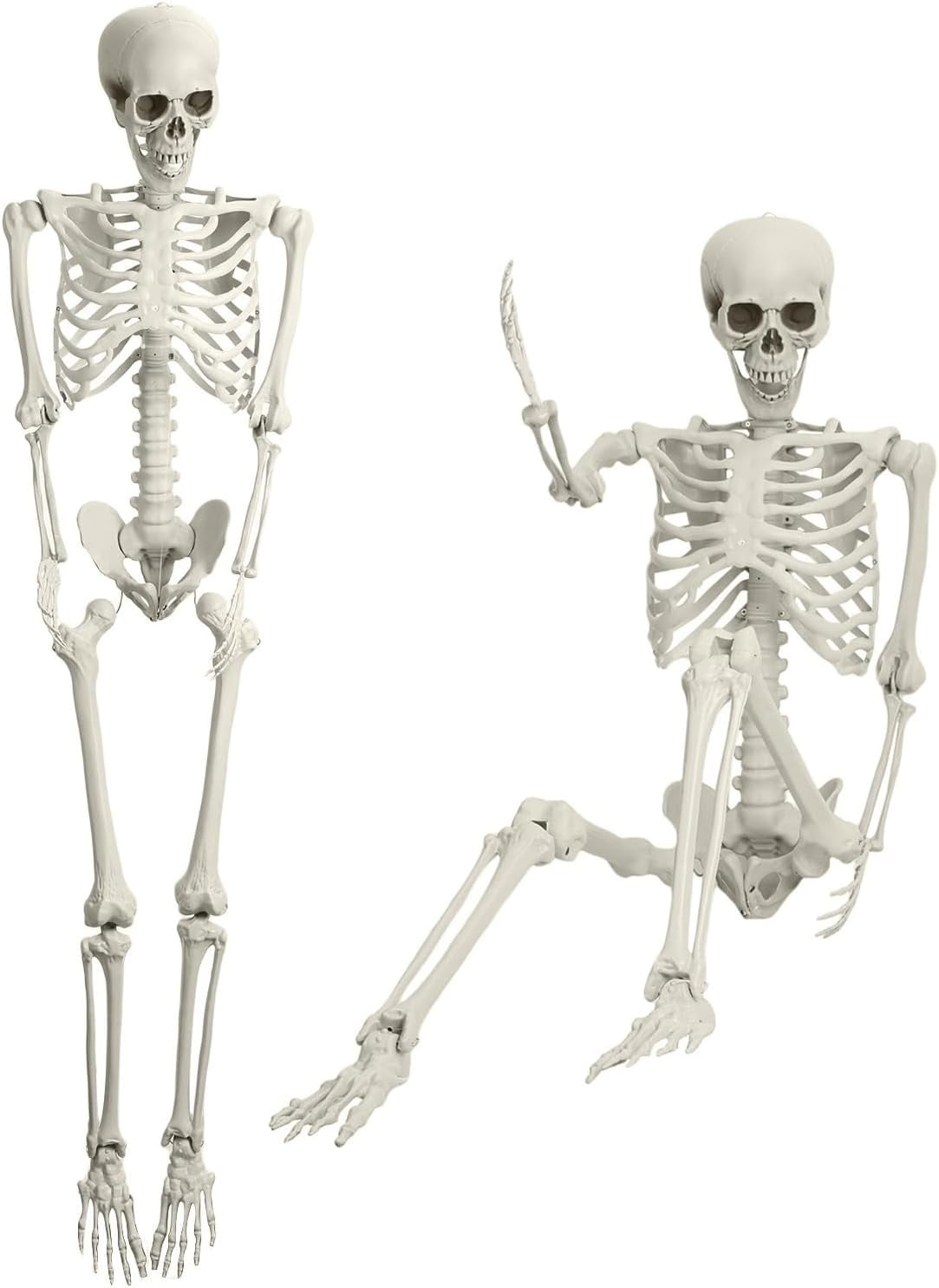 2 Pack 5.5Ft Halloween Skeleton, Life Size Imitation Skeleton, Full ...