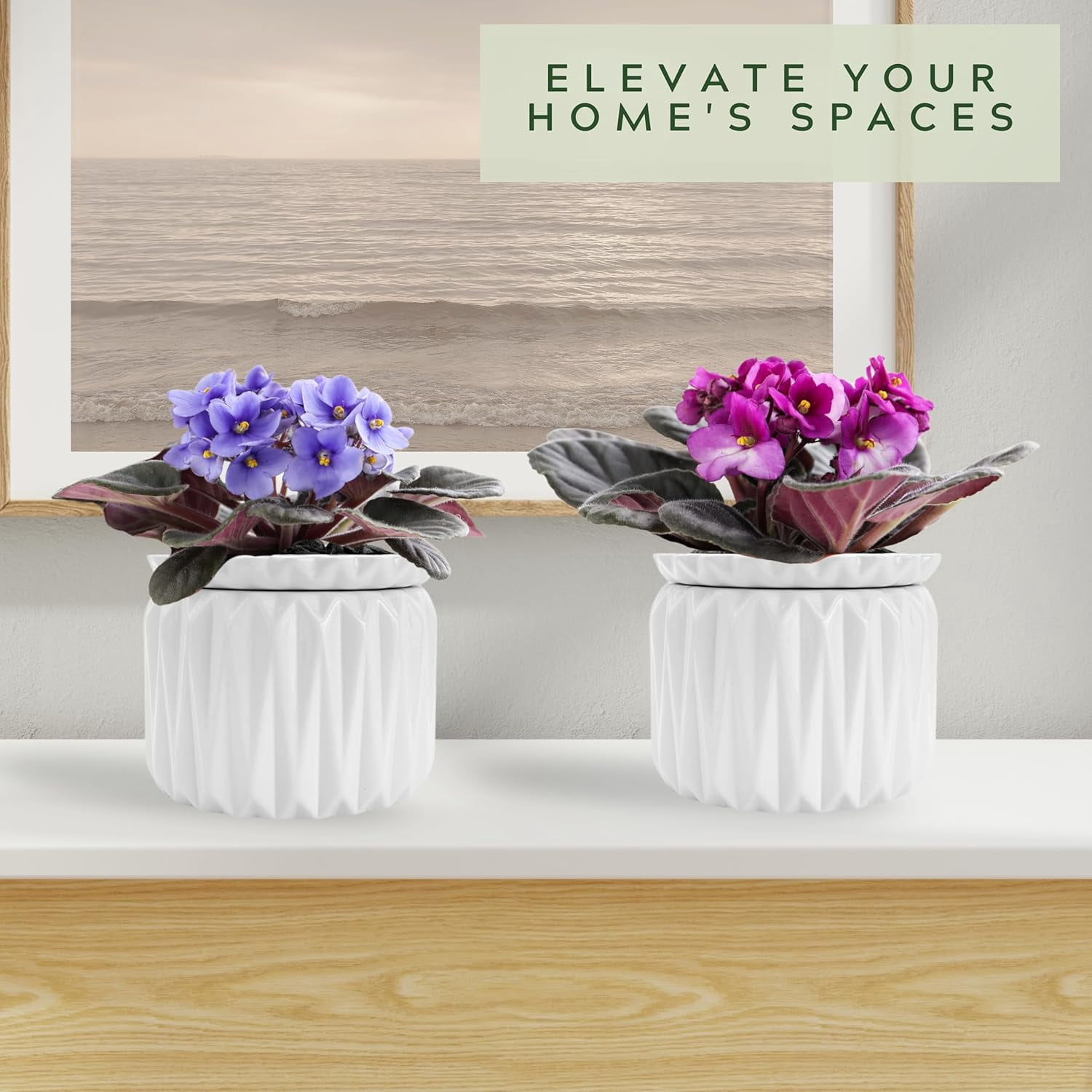 2 Pack of 6 inch African Violet Pots, Ceramic Self Watering for Indoor ...