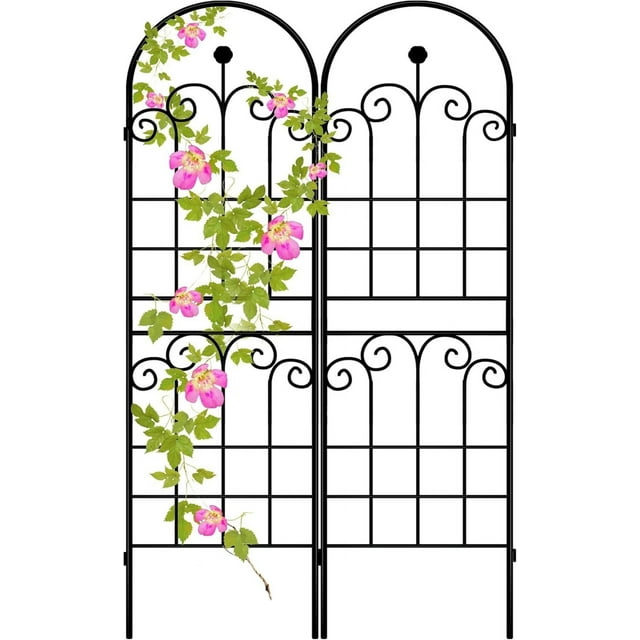 2 Pack 71x20in Rustic Iron Arch Decoration Garden Trellis with Black Metal Coating – Perfect for ...