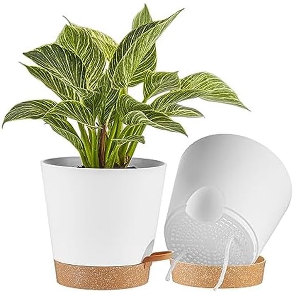 2-Pack 8 Inch Planter Pots for Indoor Outdoor Plants, Self Watering ...