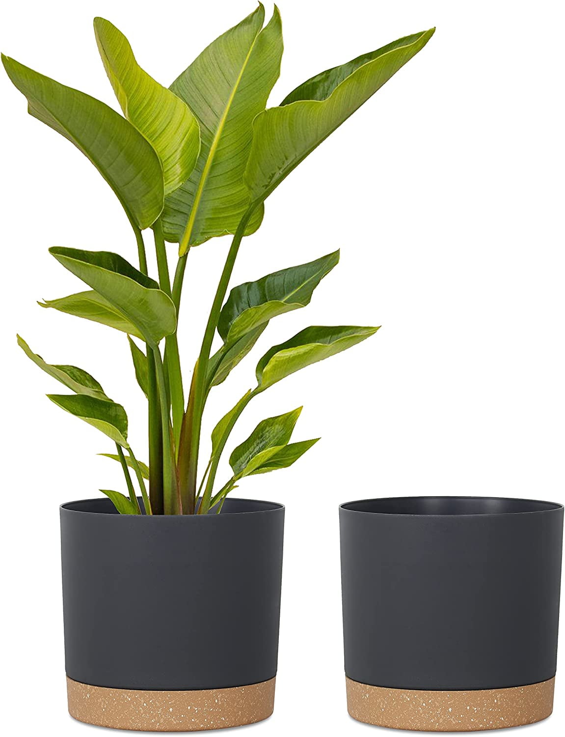 2 Pack 8 Inch Planters for Indoor Plants, Plastic Flower Pots Plant ...
