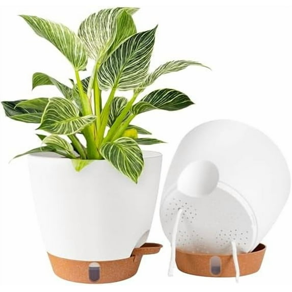 2 Pack 8 Inch Pots for Plants Indoor, Plastic Self Watering Planters ...