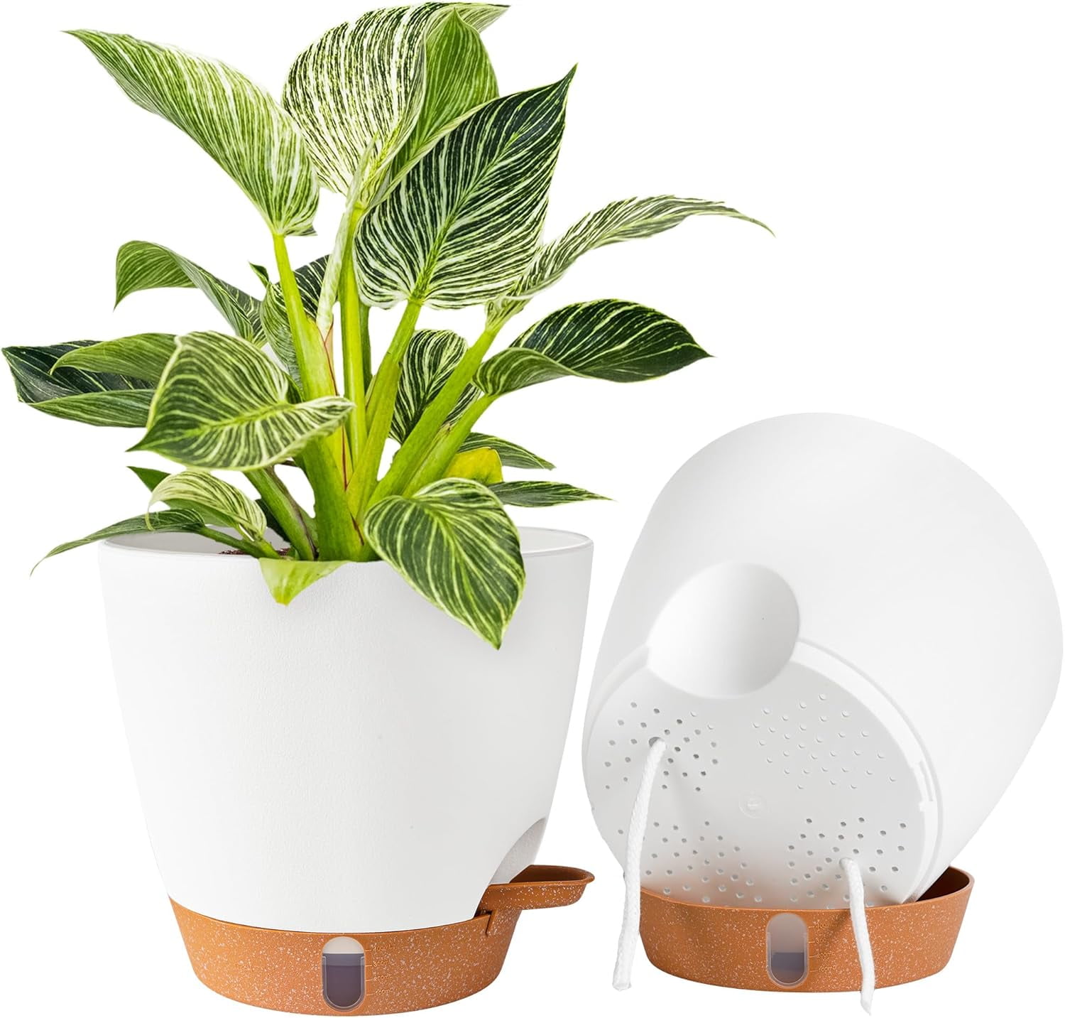 2 Pack 8 Inch Pots for Plants Indoor, Plastic Self Watering Planters ...